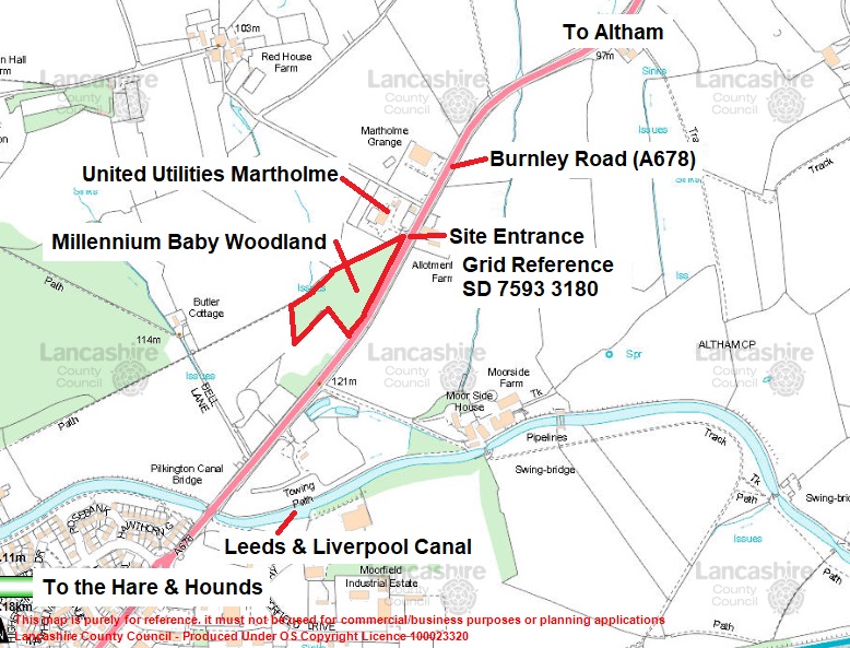 MILLENNIUM BABY WOODLAND WORK DAY – Prospects