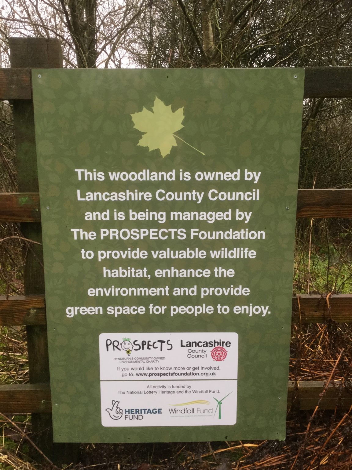 Woodland Signs – Prospects