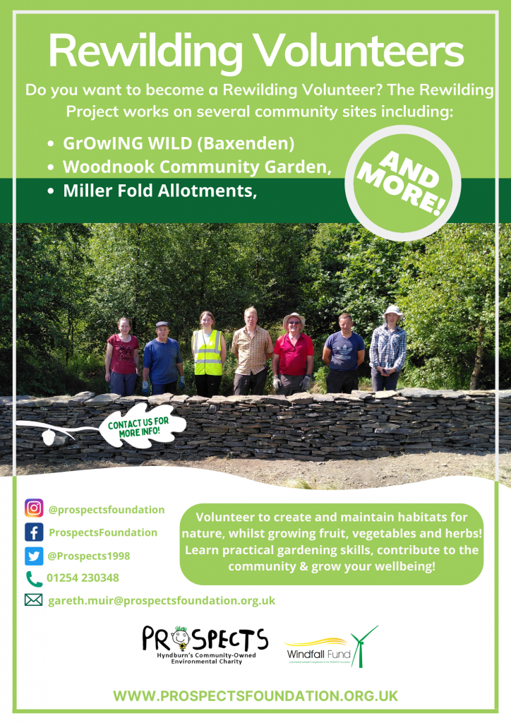 Oakhill Park – Rewilding – Prospects