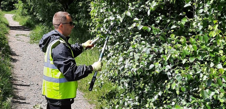 Jackhouse Nature Reserve – Green Team Volunteering – Prospects