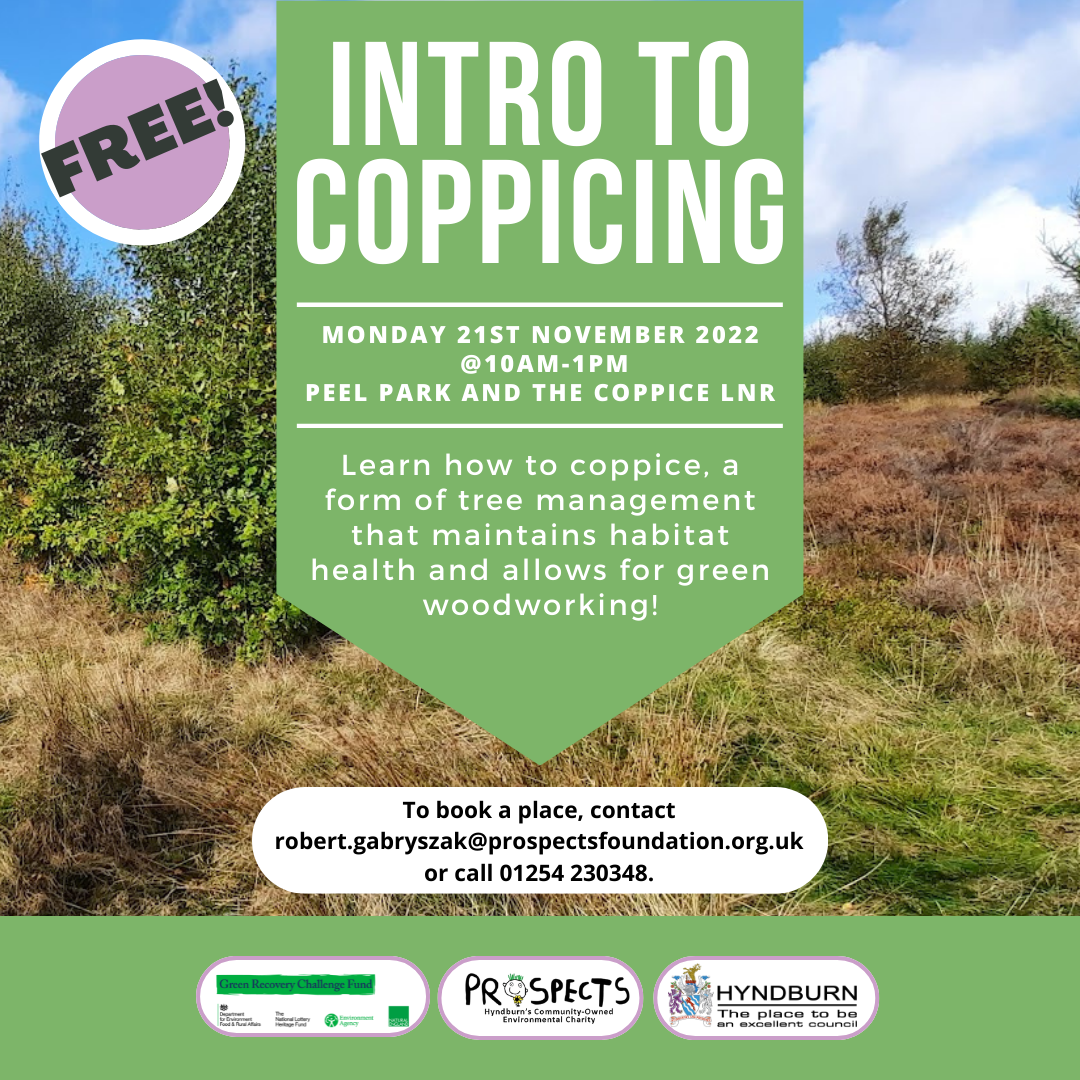 Intro to Coppicing – Peel Park and the Coppice LNR – Prospects