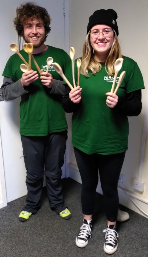 Spoon Carving – Prospects