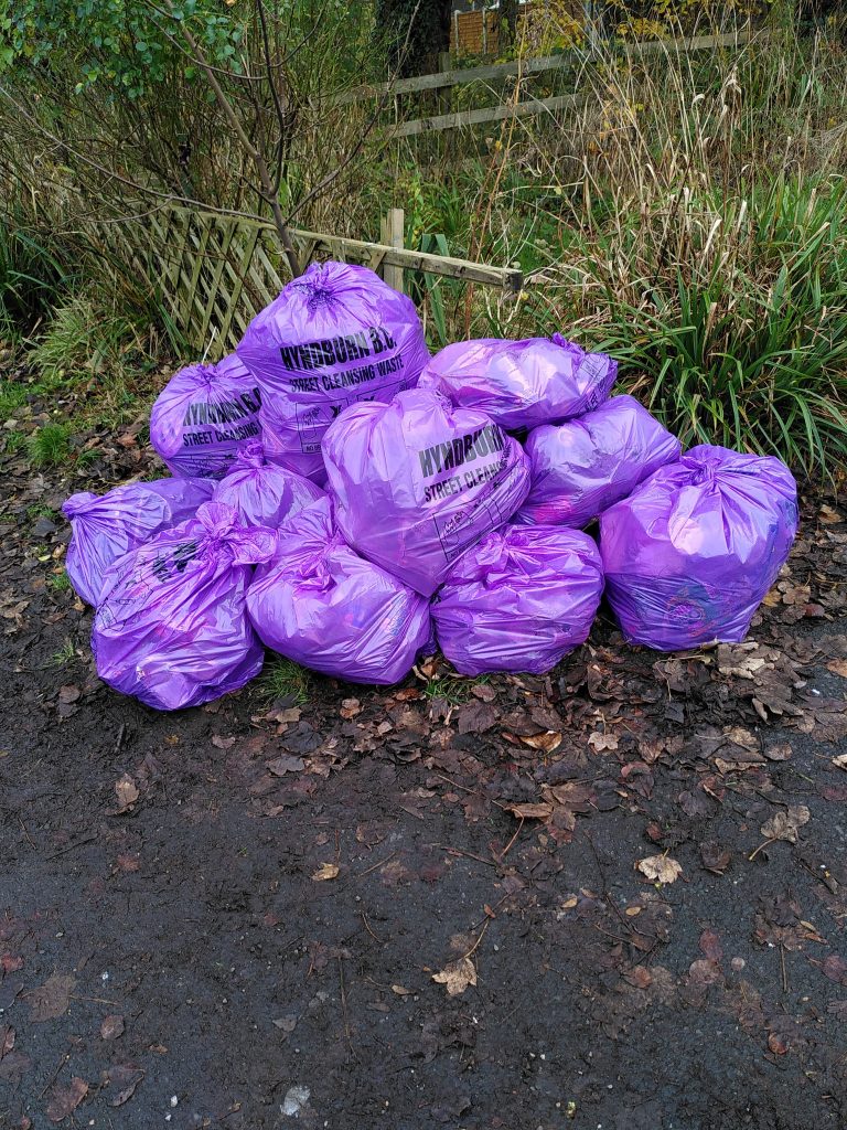 Habitats & Heritage – Hyndburn’s Woodlands Update – Prospects