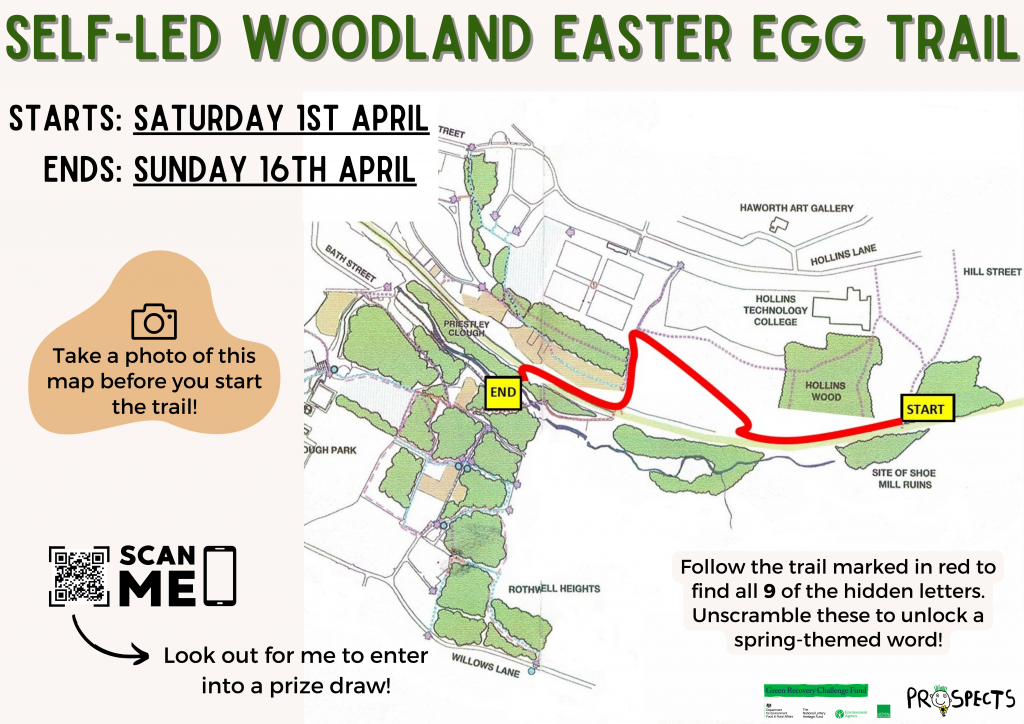 Family friendly self-led Easter Egg Trail in Woodnook Vale! – Prospects