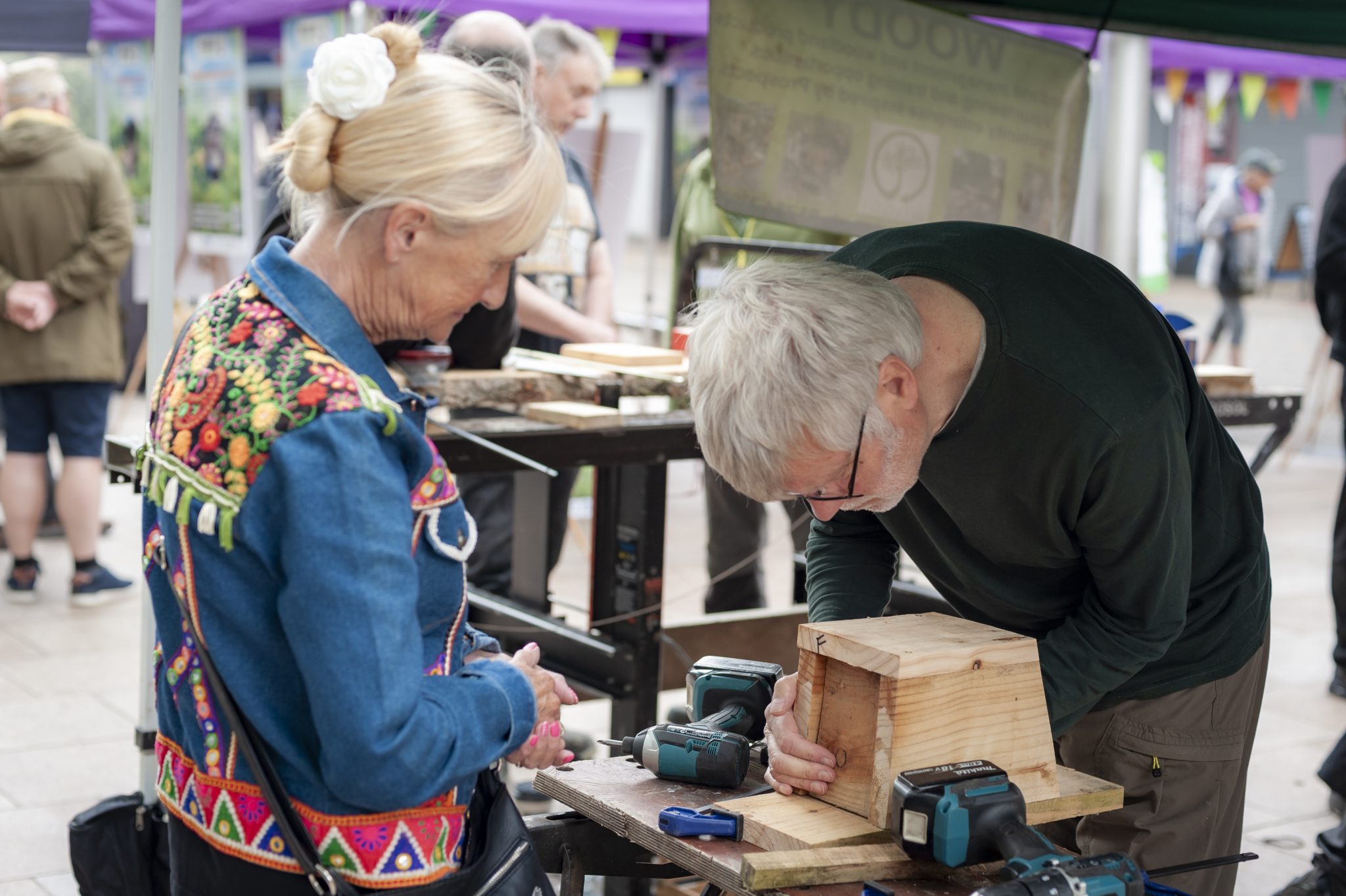 ECO FEST – Prospects